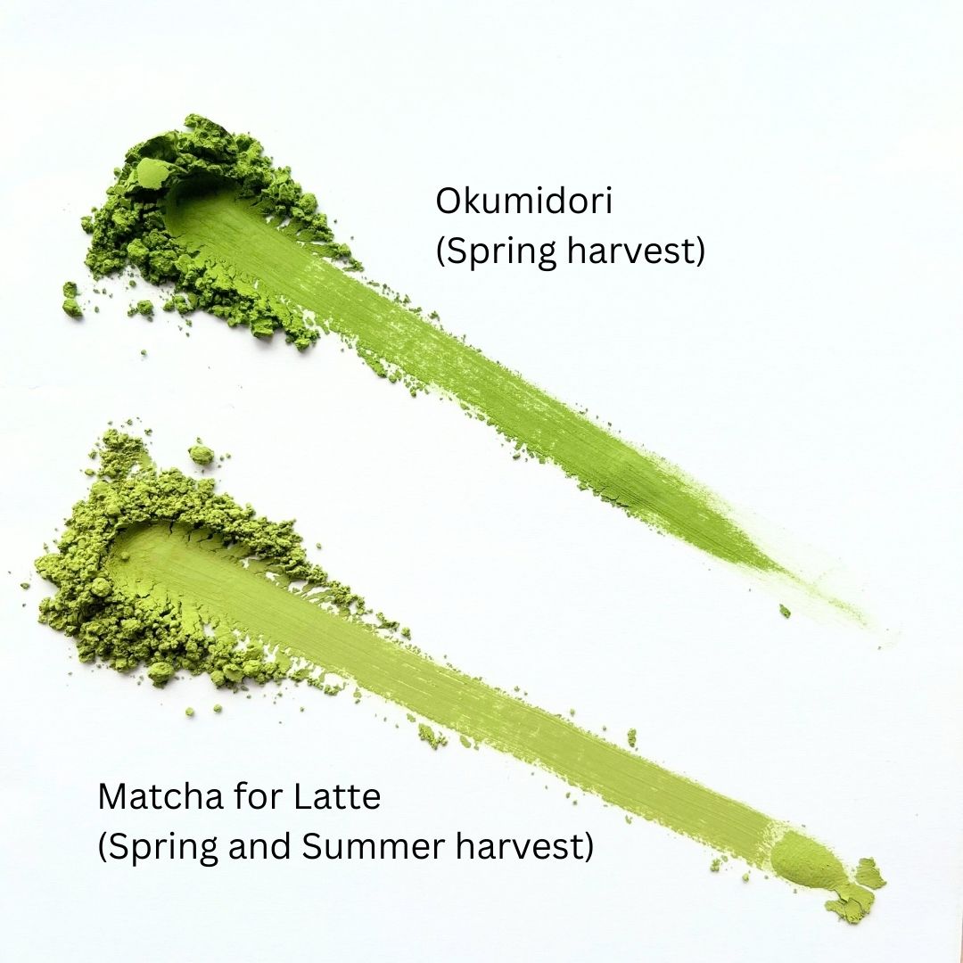 Matcha – d:matcha Kyoto