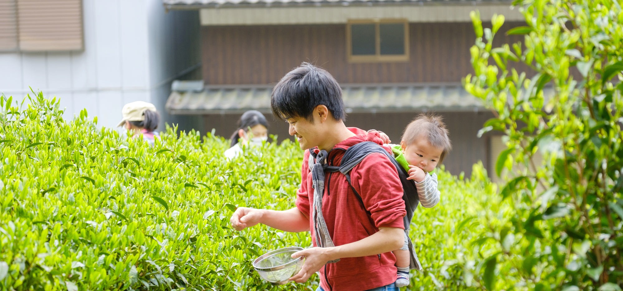 d:matcha Kyoto